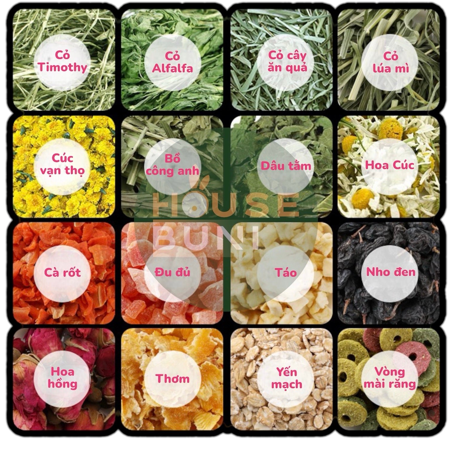 Cỏ Nén Thảo Dược Jessie Dành Cho Bọ Ú – BuniHouse